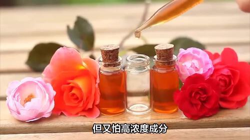 每天用玫瑰精油?先搞懂这两个关键细节,否则小心烂脸!