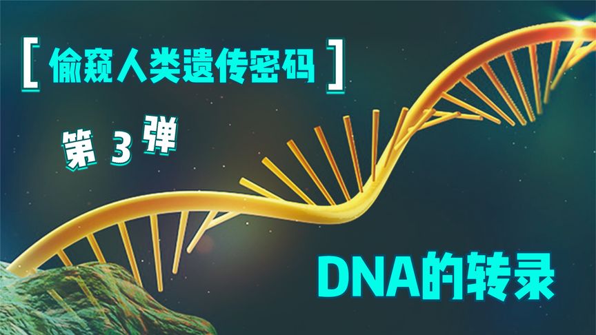 第3弹 偷窥人类遗传密码之:DNA的转录