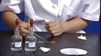 物质鉴定、叶绿素实验视频