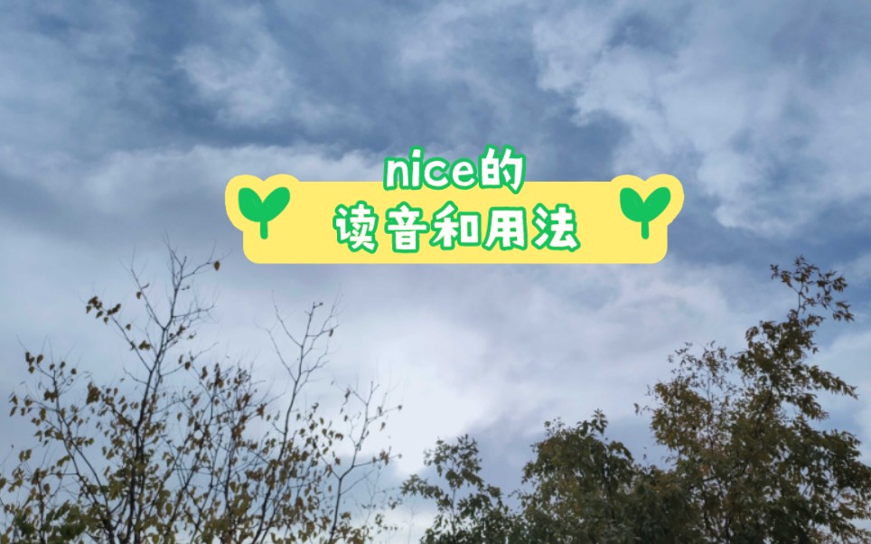 nice的读音和用法