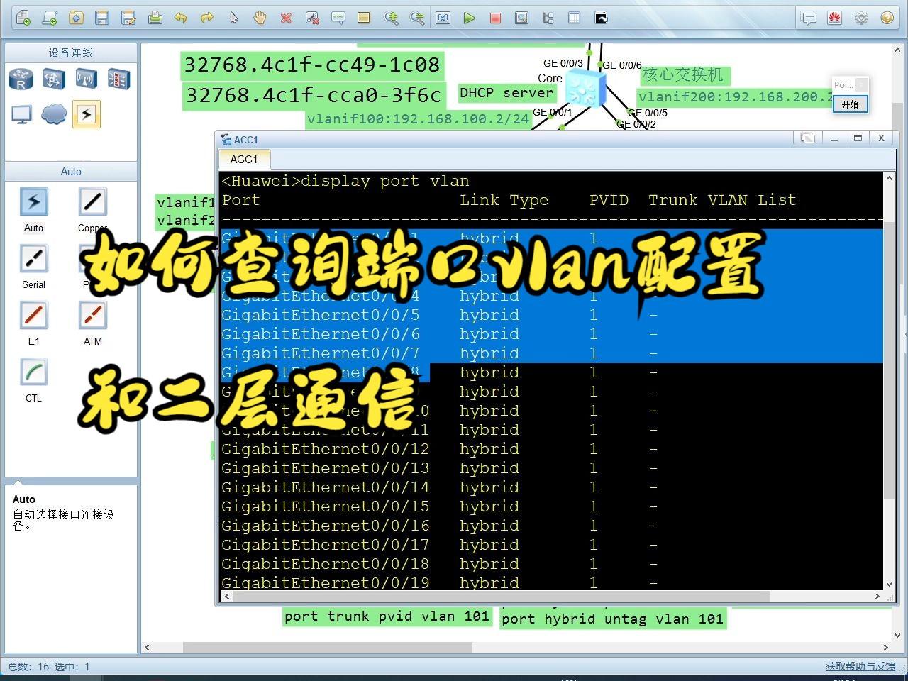 如何查询端口vlan配置和二层通信