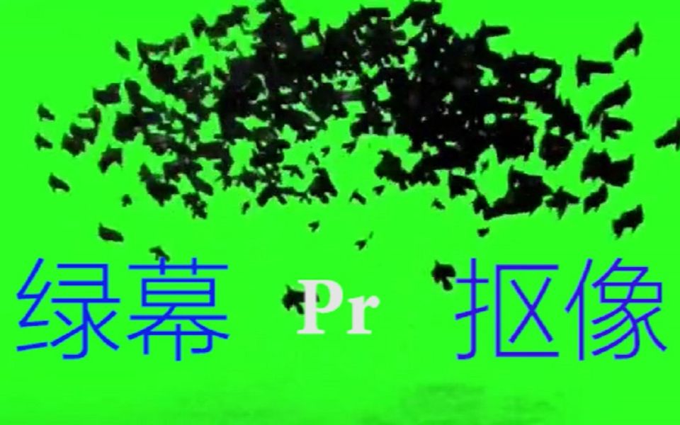 【Pr教程】3步学会Pr绿幕抠像