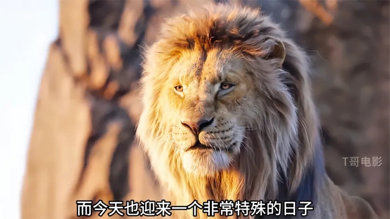 《狮子王》三观不正?网友:这根本不是给孩子看的童话!电影