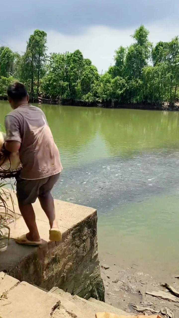 ...满满的都是鱼啊! #户外捕鱼 #撒网捕鱼飞盘网原理 #手撒鱼网 #飞盘...