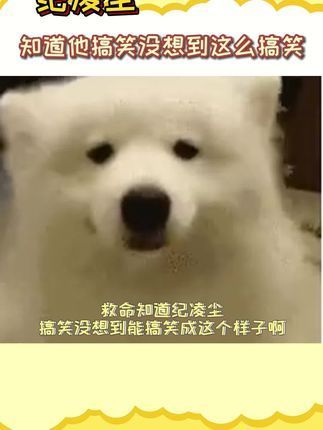 三星AI折叠手机一路陪伴大家,记录大家美好影像的画面,真的被安利到...