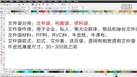 平面设计cdr教程 vi设计《文件袋设计》CorelDRAW教程 cdr软件