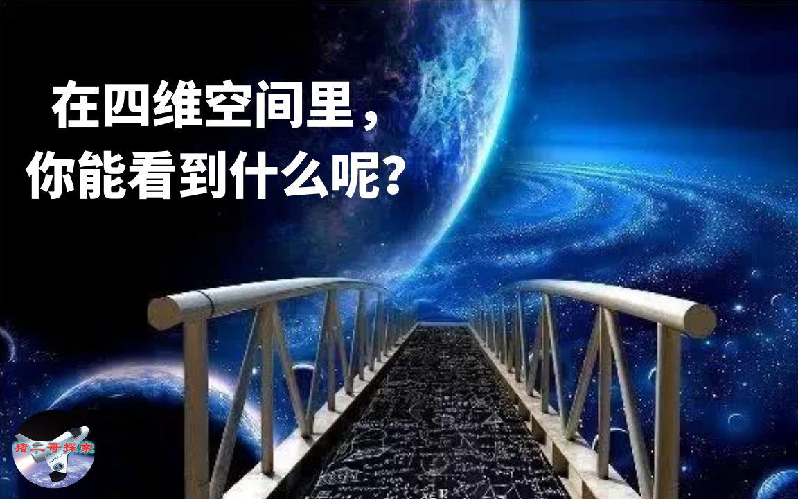 在四维空间里,你能看到什么呢?︱【猪二哥探索】