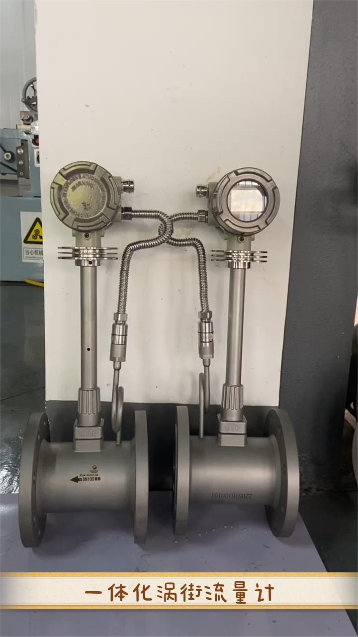 DN100 一体化涡街流量计