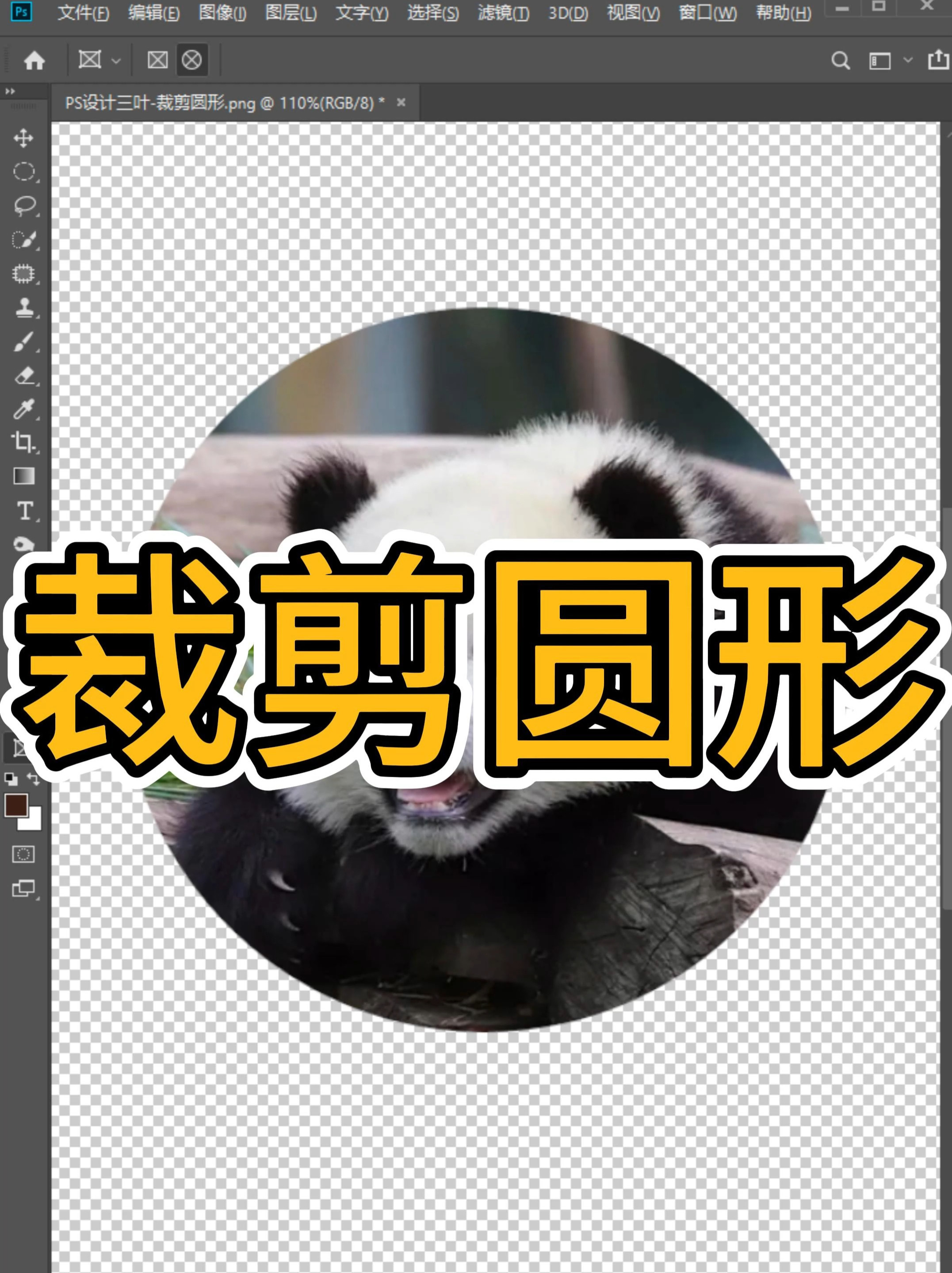 PS教程教你裁剪圆形图片