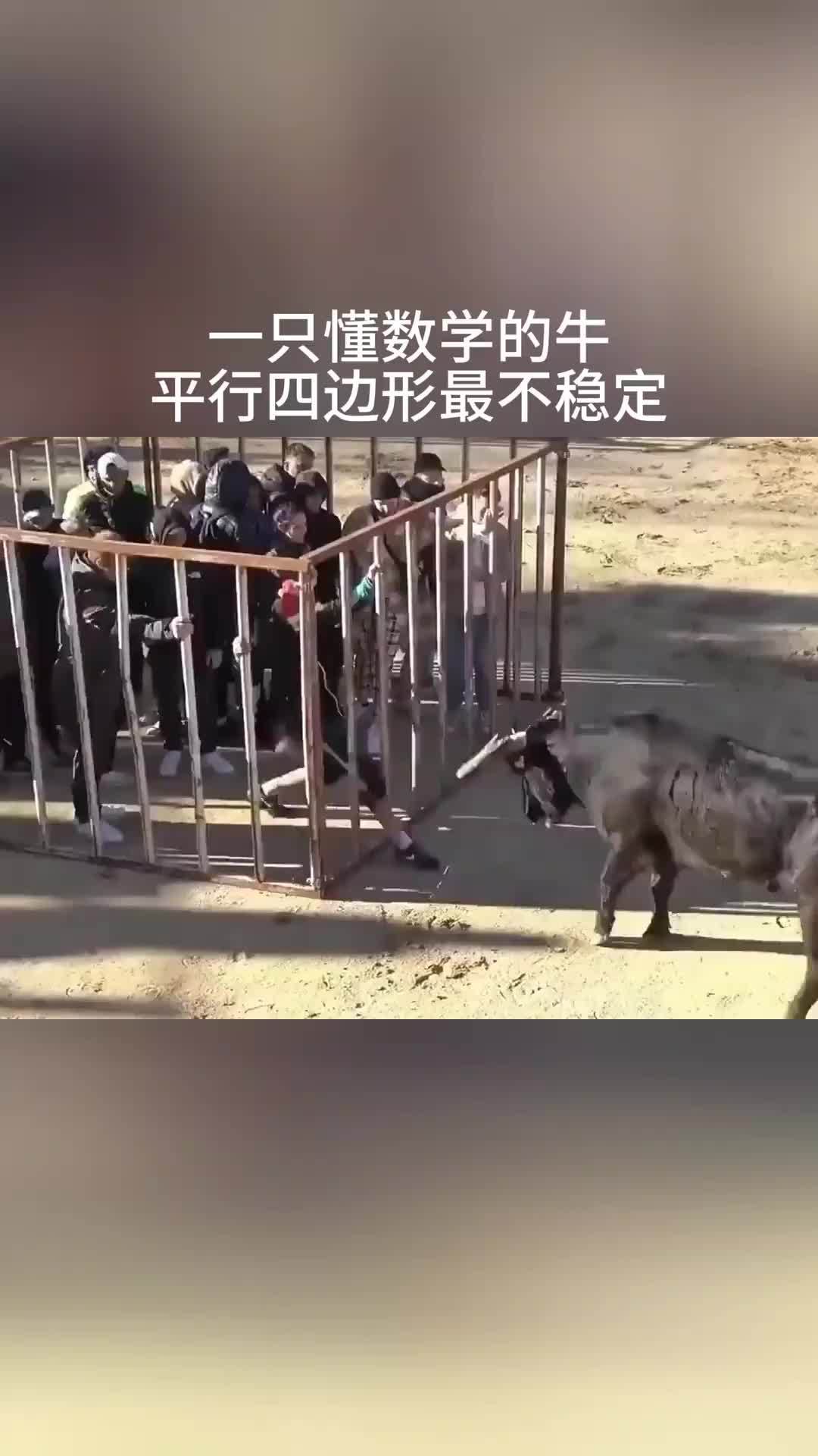 牛:我几何考过一百分,平行四边形最不稳定