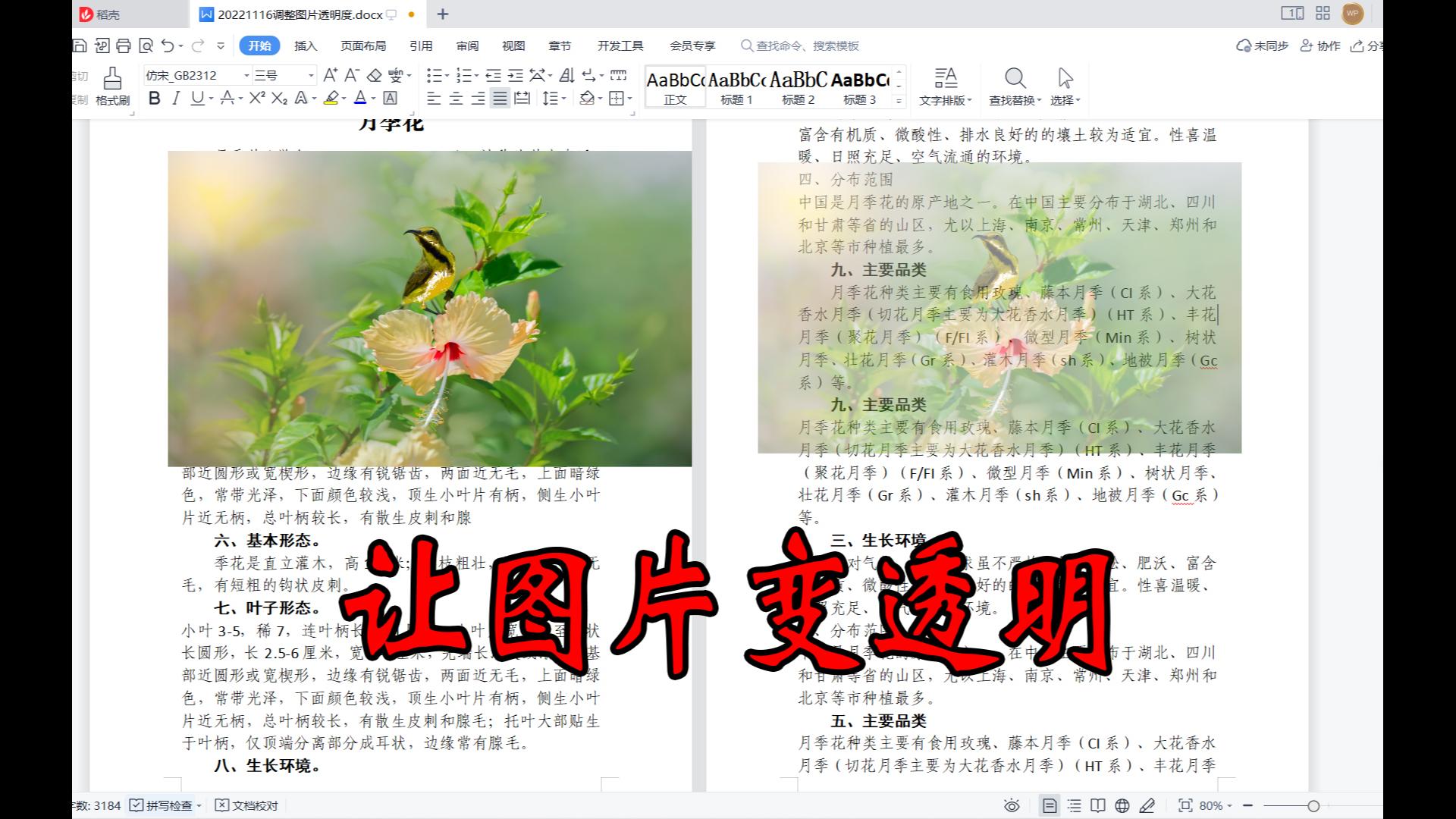 WPS文档怎样让图片变透明？调整图片透明度的方法和技巧