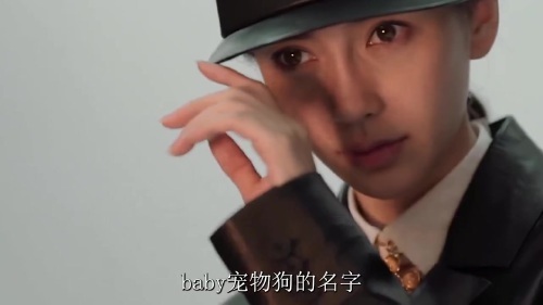 杨颖宠物狗名字内涵黄晓明?离婚后现状曝光