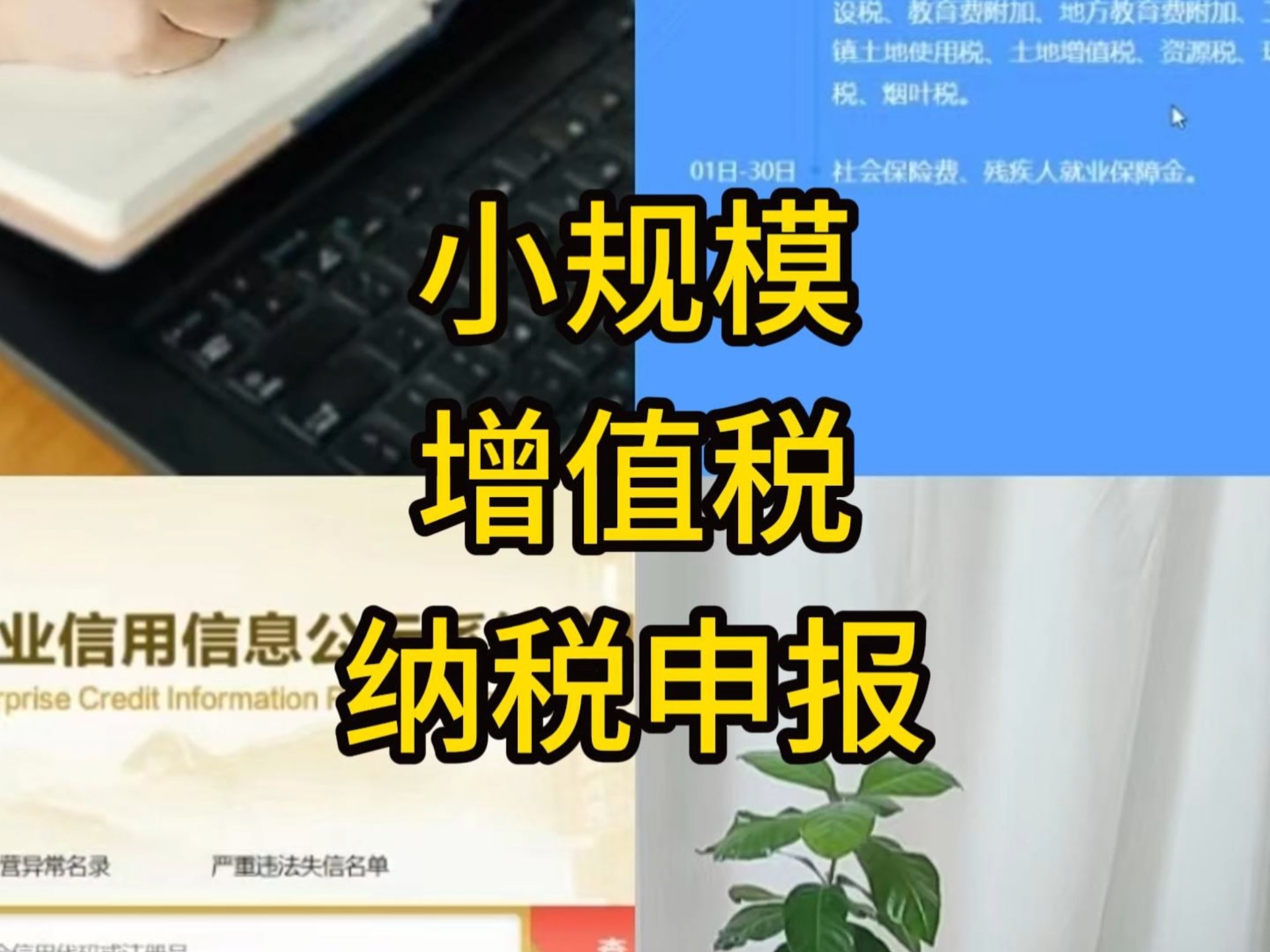 小规模增值税如何申报,如何填报