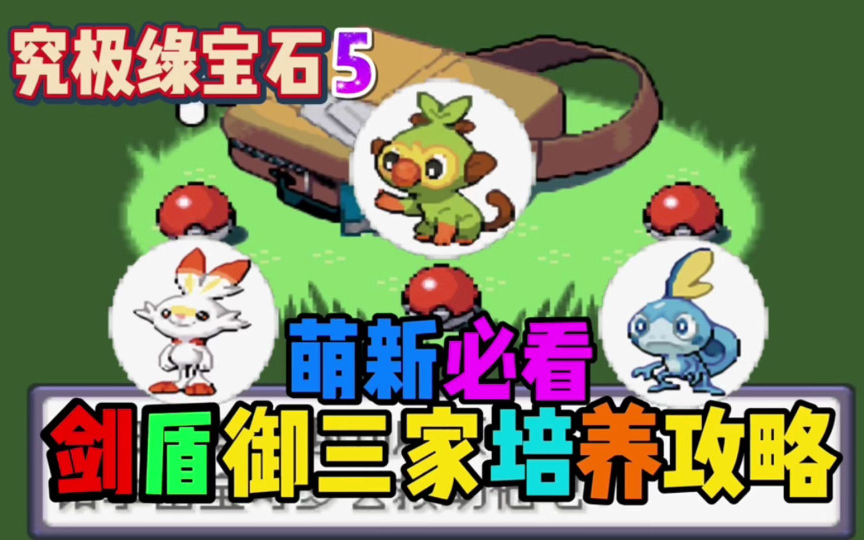 剑盾御三家性格配招攻略,新手必看教程,究极绿宝石5