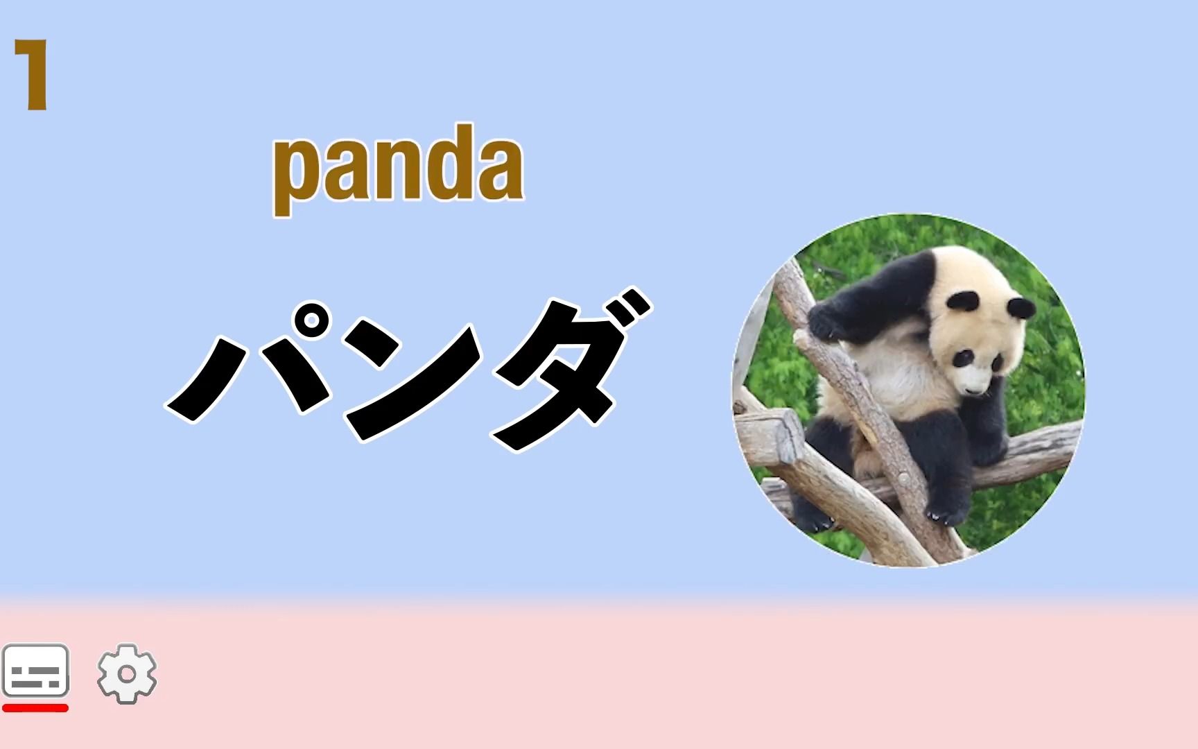 【课程】学习日语单词-名词2(动物的日语名称,片假名)