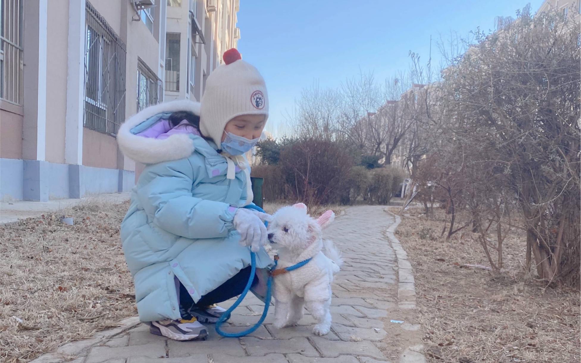 ...(股票 基金 A股 游资 投资 财经 美股 港股 价值投资 趋势 涨停 比亚迪 ...