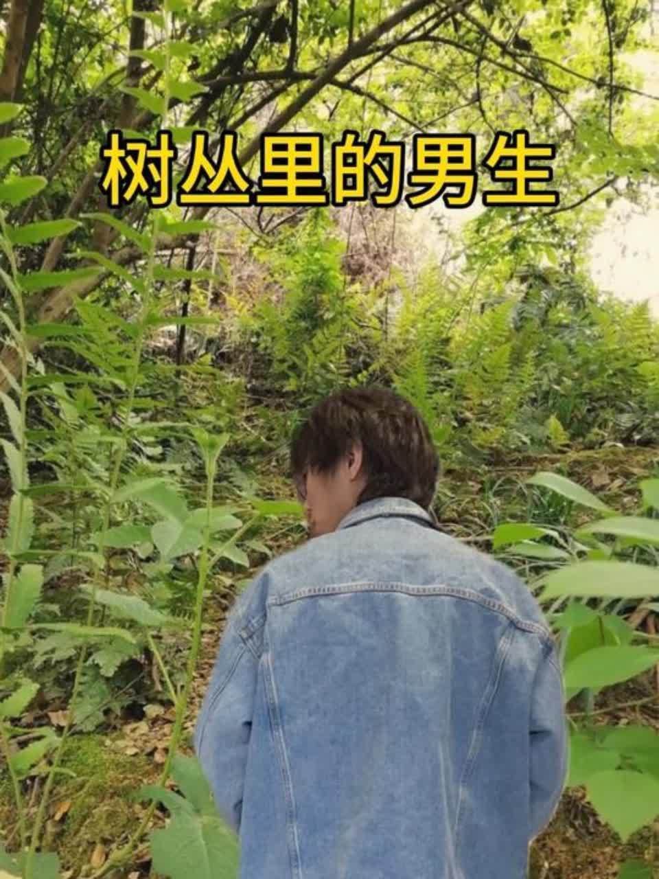确认过眼神内容过于真实