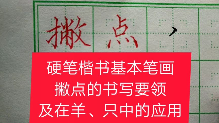 硬笔楷书基本笔画撇点的书写要领及在羊、只中的应用