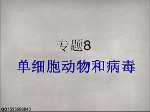 初中生物专题讲解8、单细胞动物和病毒