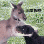 神猎人 