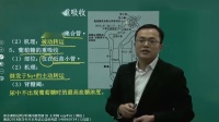 ...升本生理学第8章第3节肾小管和集合管的重吸收 几种物质的重吸收04