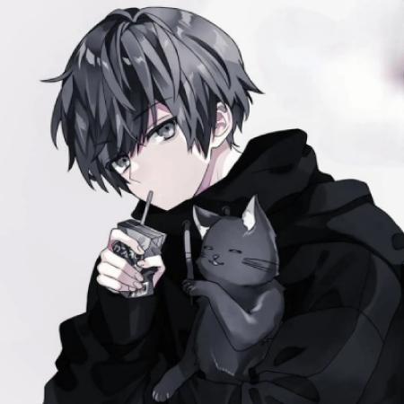 贵族小黑猫 