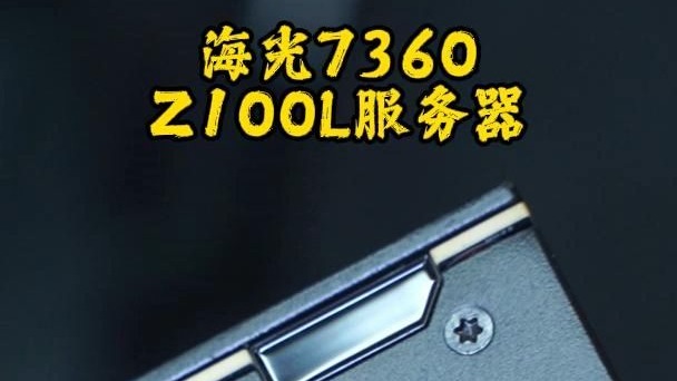 纯国产显卡海光Z100L海光7360CPU服务器DeepSeek V3已经完成...