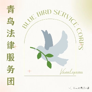 青鸟法援服务团 