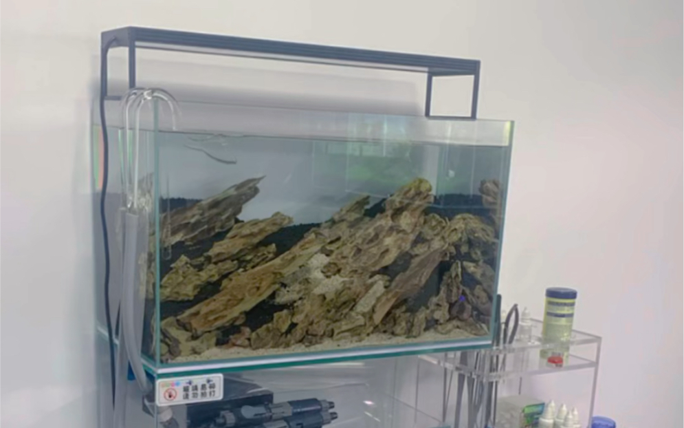 素材无贵贱,上一组松皮石造景,改变自己对素材的偏见!