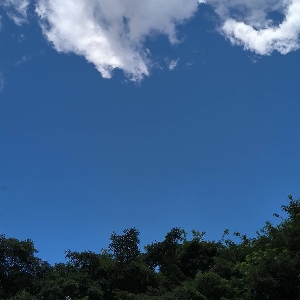 简少慢 