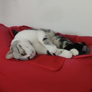 千里木鱼沟沟飘 