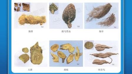 执业药师考试教学免费视频