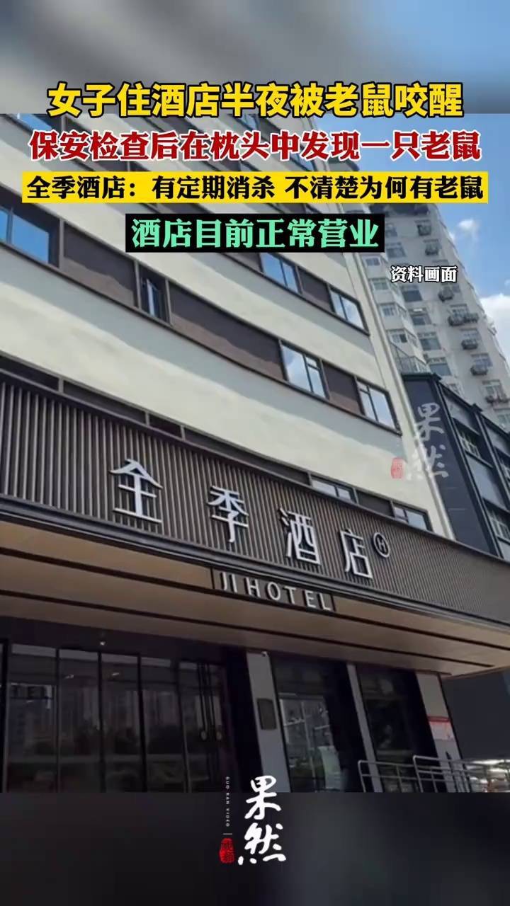 女子住全季酒店半夜被老鼠咬醒(青岛广电解码新闻)
