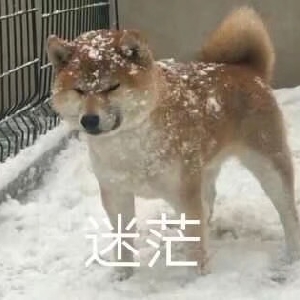 无奈妮可 