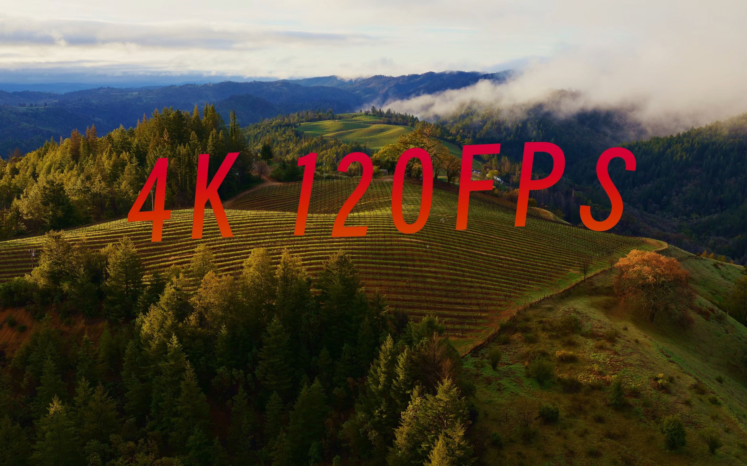 「4K 120FPS」macOS Sonoma 动态壁纸 自然景观47张 附阿里云下载