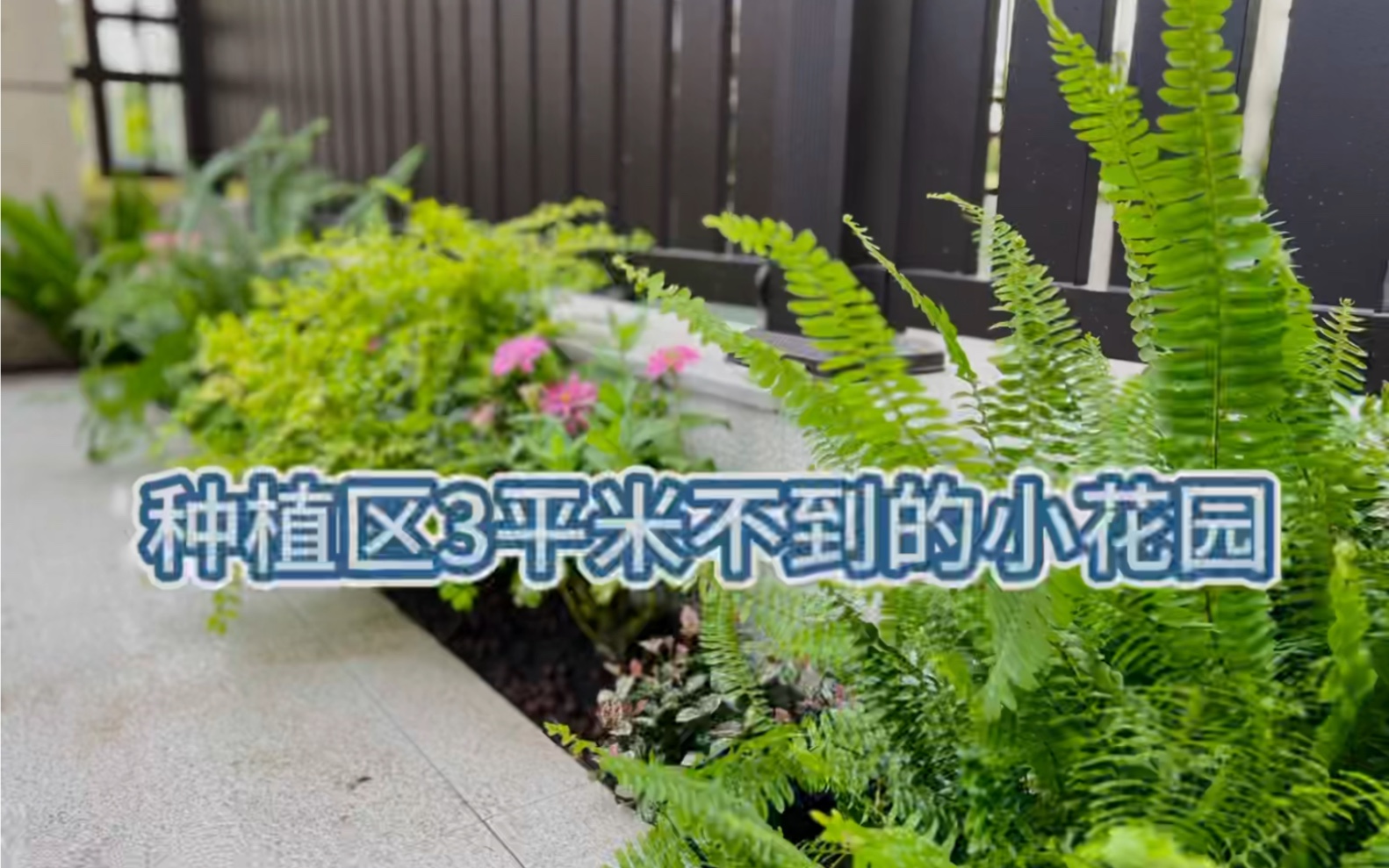 上海小花园设计施工