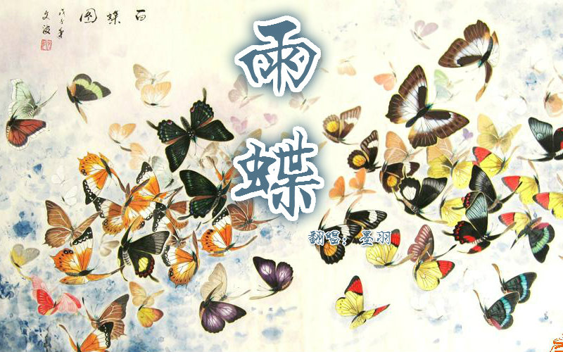 【墨羽】雨蝶