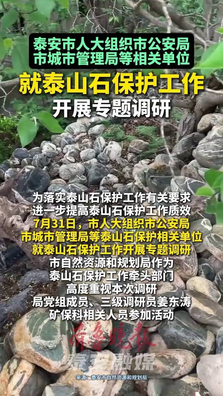 泰安市人大组织市公安局、市城市管理局等泰山石保护相关单位就泰山...