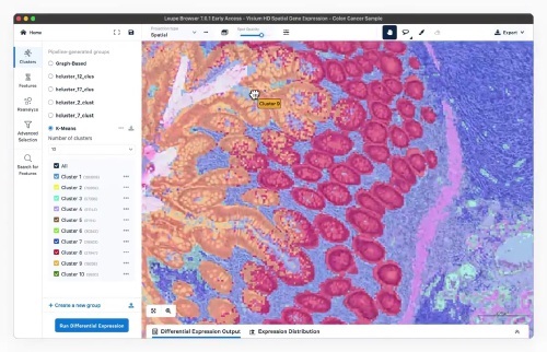10X HD空间转录组聚类分析,揭示基因表达模式