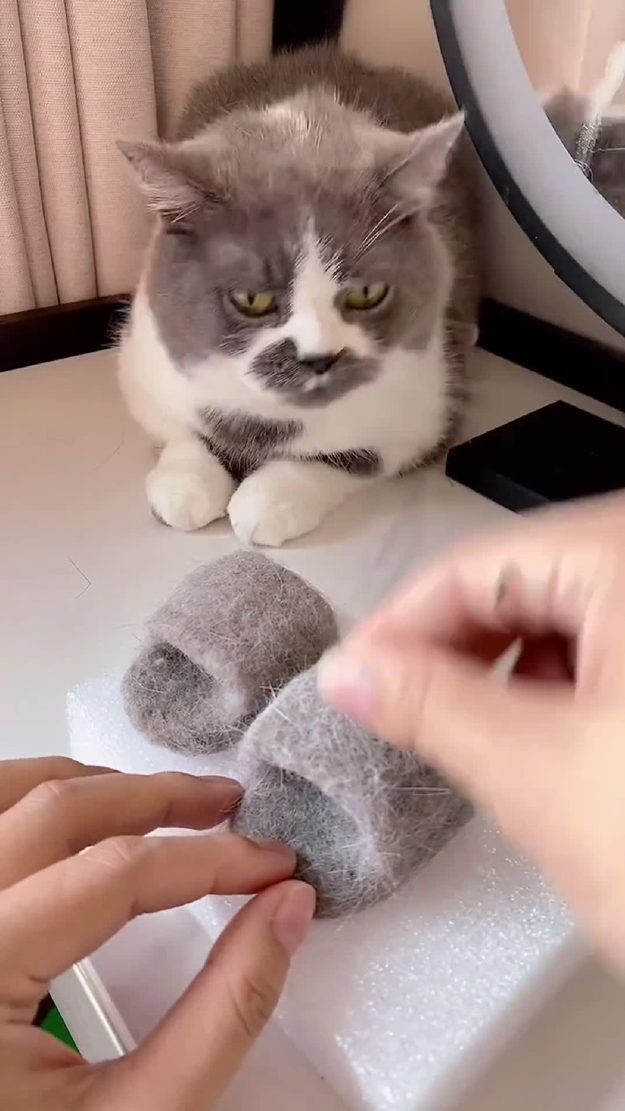 自产自销一根猫毛也不能浪费了猫毛解决方案
