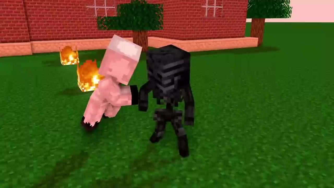 MC动画:实体303击败凋零骷髅