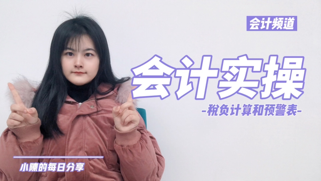 老会计用“增值税税负表”做税负预警,直接调总部升职加薪,慕了!