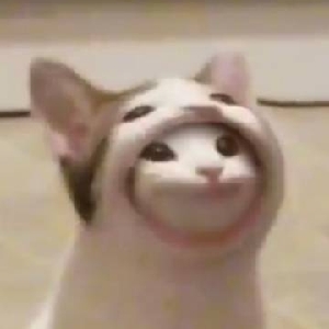 玖憬 