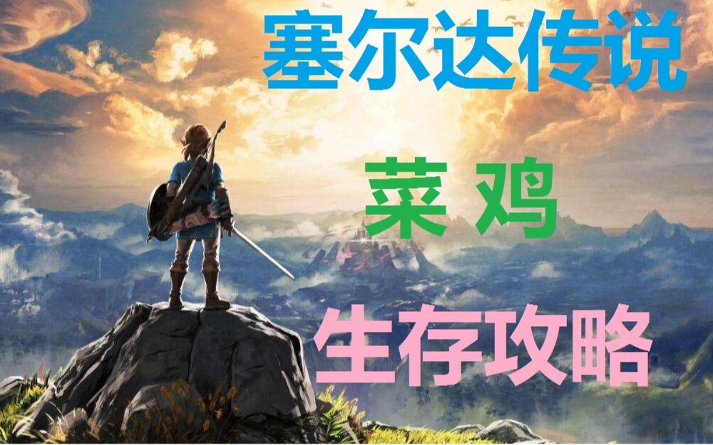 无伤开森林之塔(下篇)【塞尔达传说】海拉鲁菜鸡生存攻略-手残党怎么...