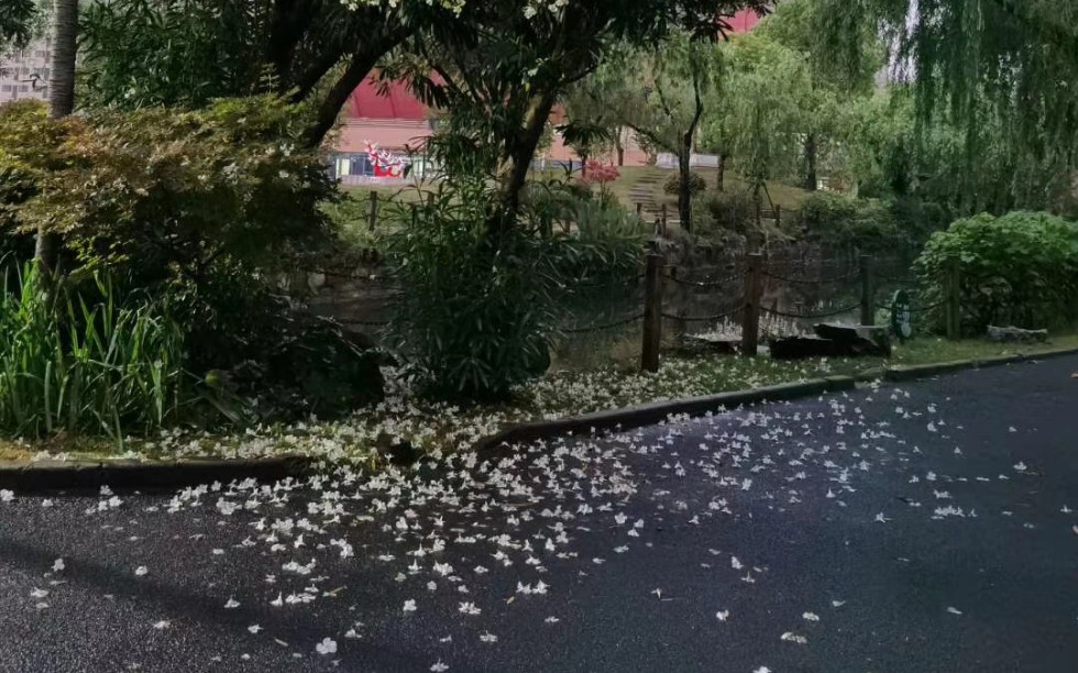 第十二章微分方程和差分方程(共11集)