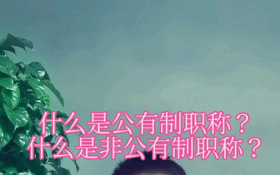 公有制职称和非公有制职称的区别