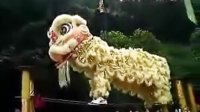 精彩舞狮子表演
