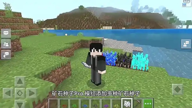 我的世界:《矿石种子》