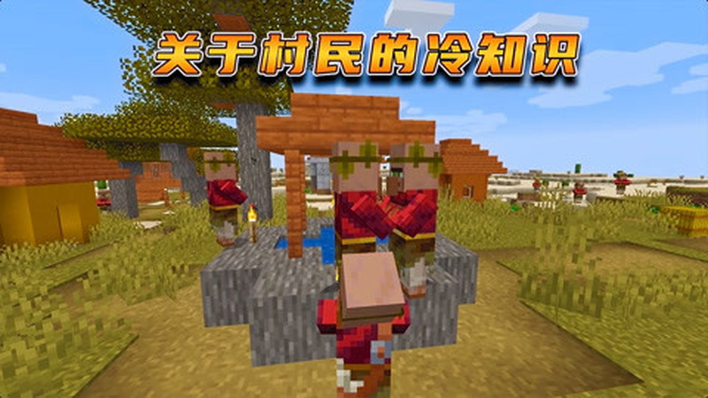 蓝少我的世界:关于村民的冷知识!原来基岩版的村民这么笨!