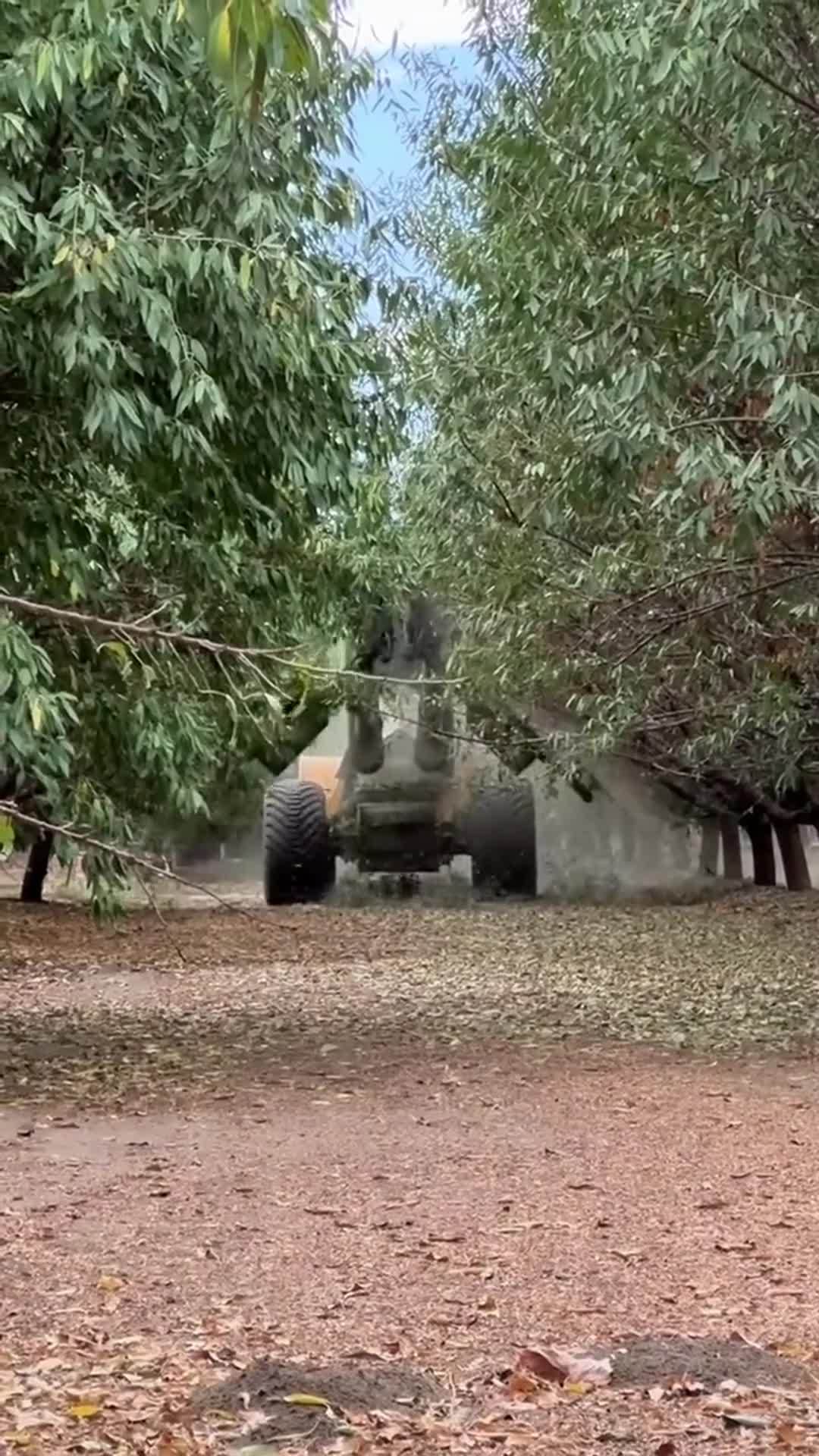 老外玩户外真会整活!用绿篱修剪机搞园林绿化